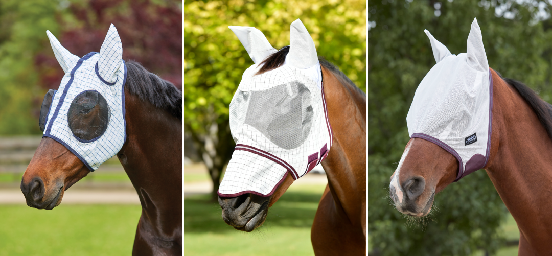 What's The Best Fly Mask For My Horse? – GS Equestrian