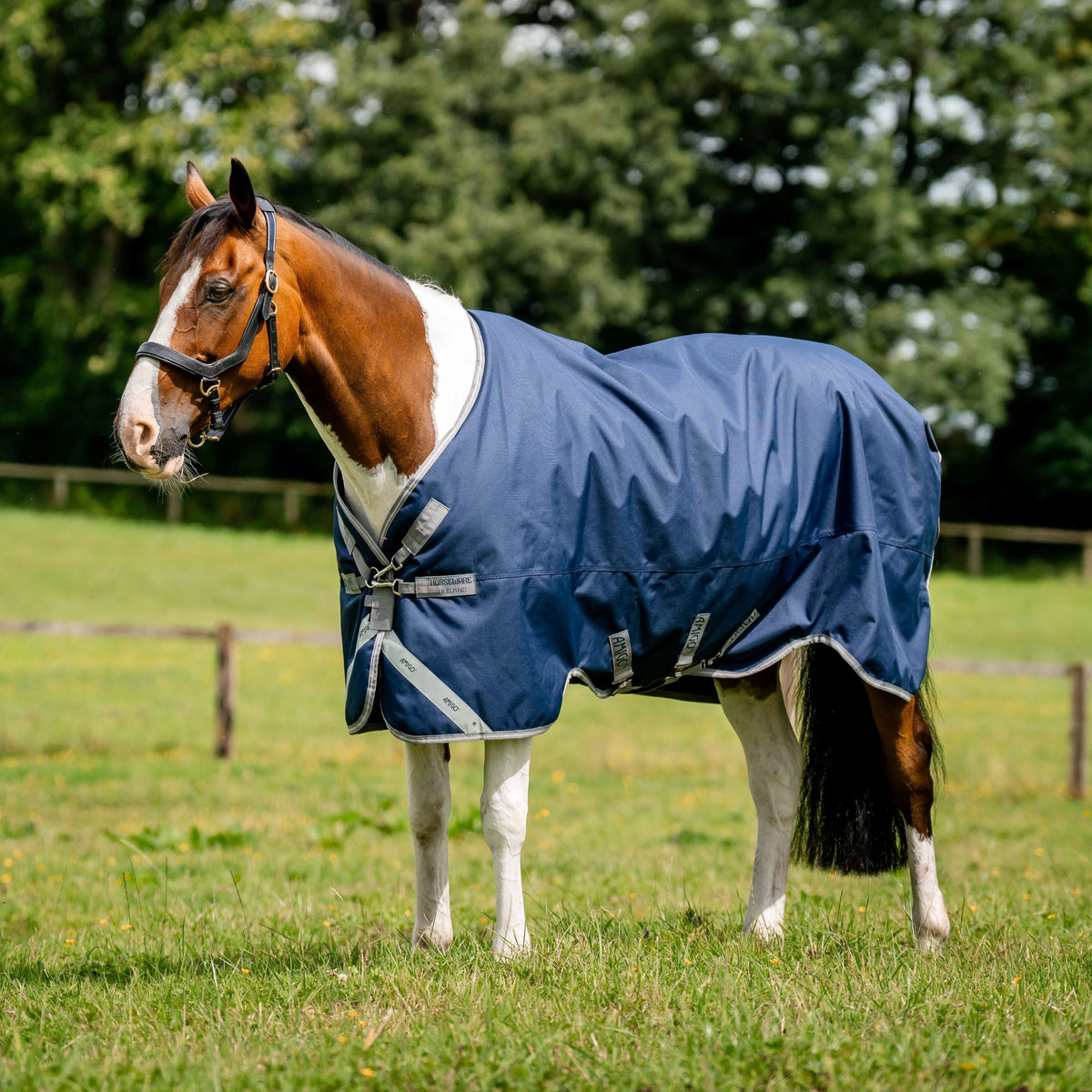 Horseware Ireland Amigo 1200D XL 50g Turnout Rug – GS Equestrian